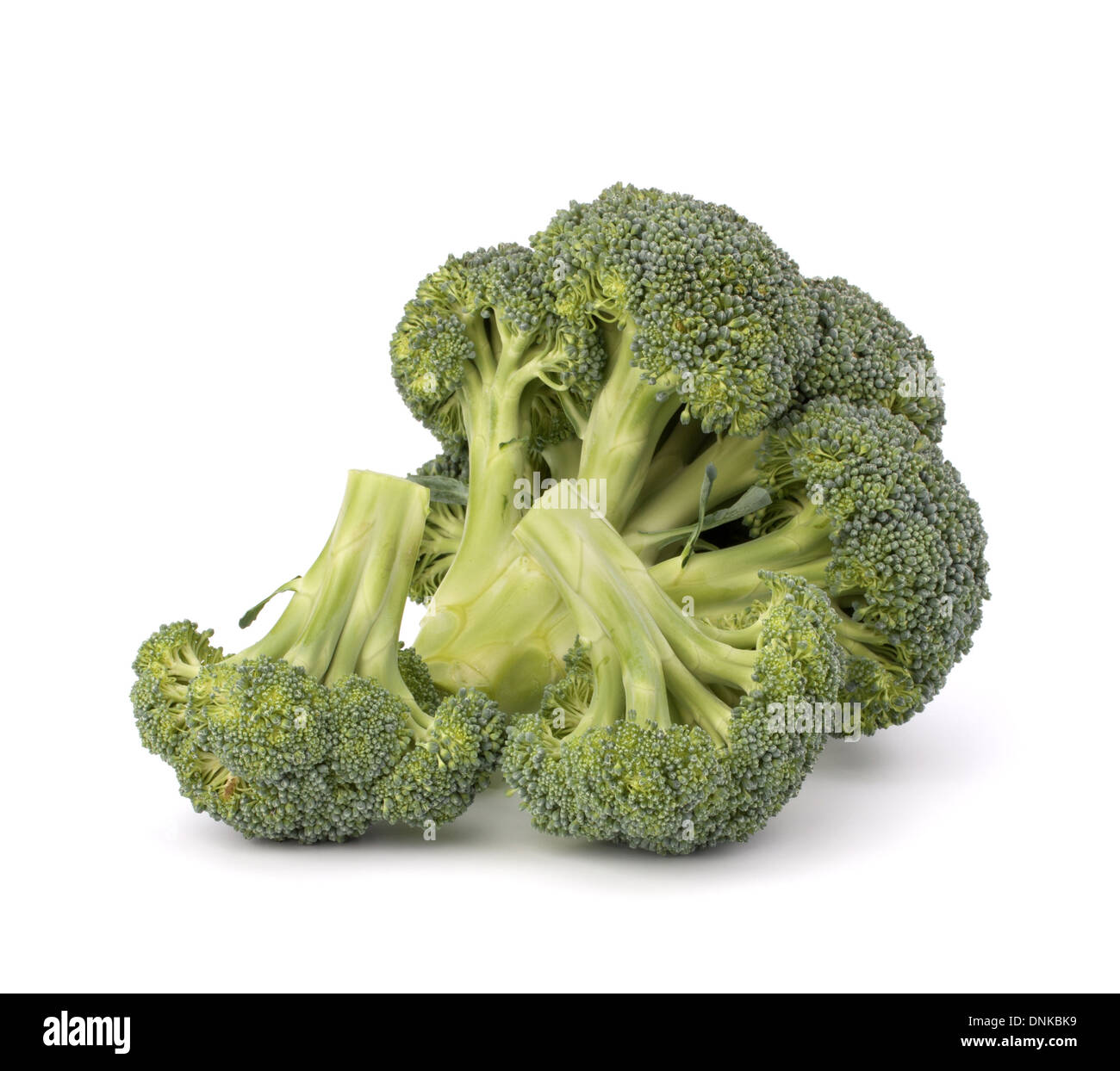 Broccoli vegetable isolated on white background Stock Photo - Alamy