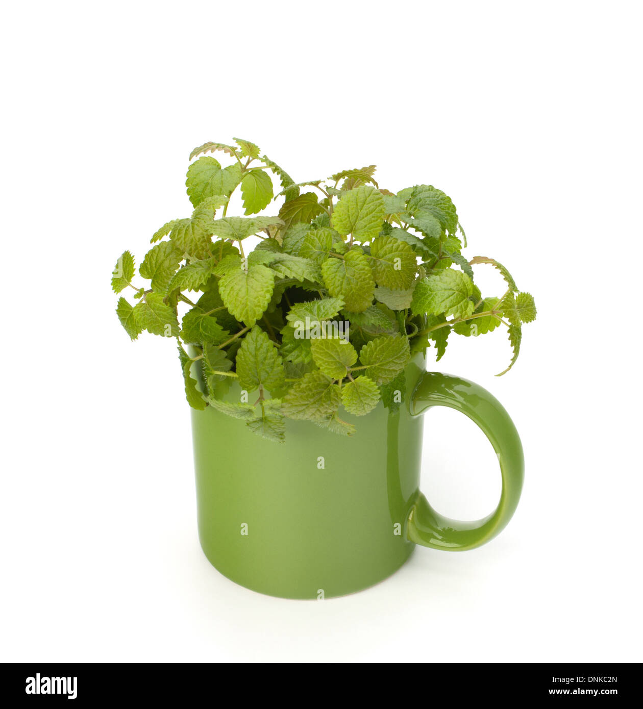 Herbal peppermint tea cup isolated on white background. Alternative ...