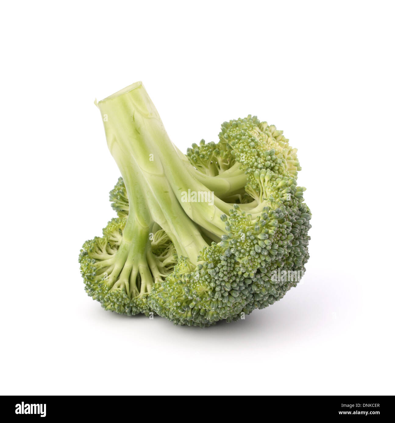 Broccoli vegetable isolated on white background Stock Photo - Alamy