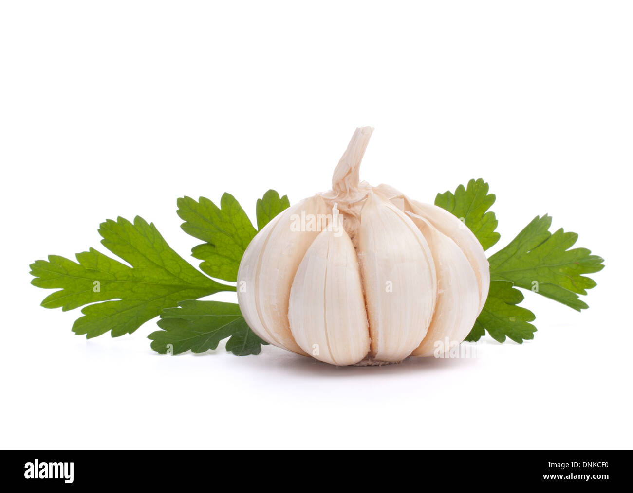 garlic bulb isolated on white background cutout Stock Photo - Alamy