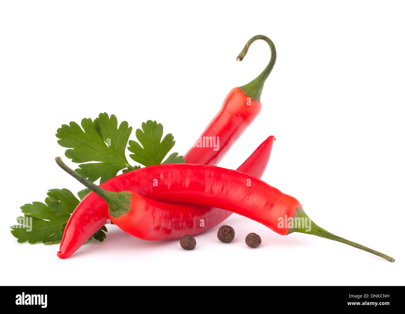 Hot red chili or chilli pepper and parsley leaves still life isolated ...