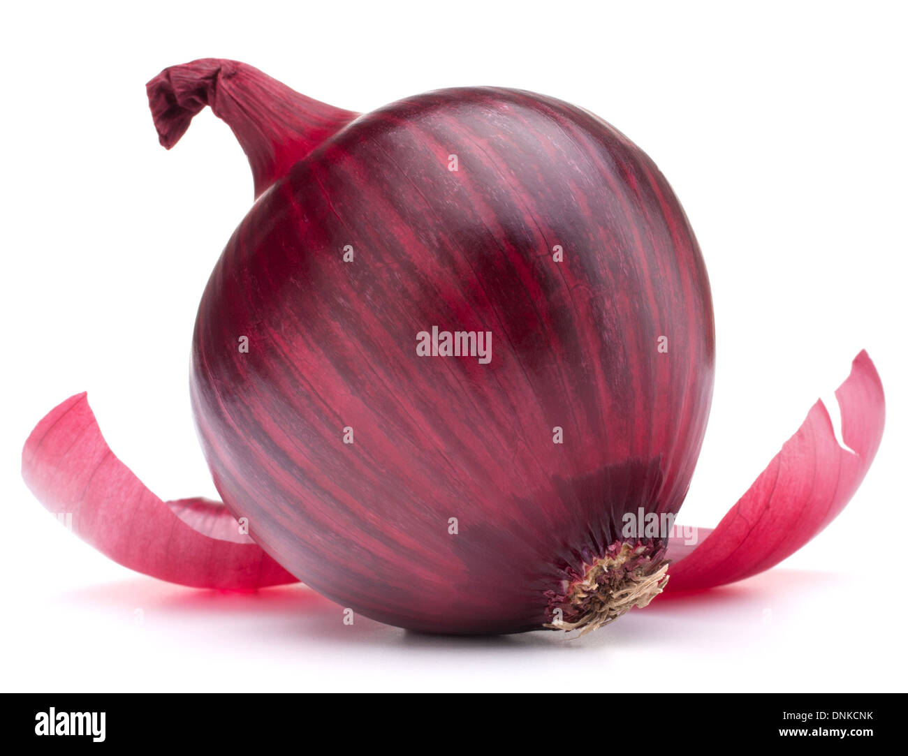 red onion bulb isolated on white background cutout Stock Photo - Alamy