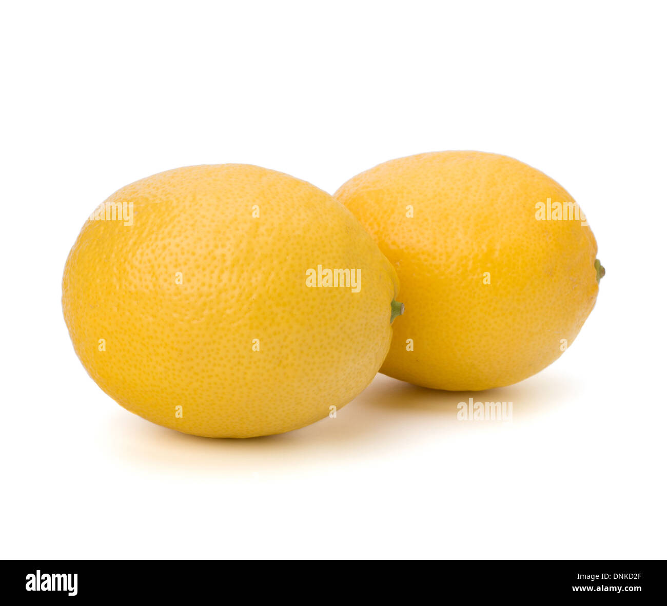 Lemon fruit isolated on white background Stock Photo - Alamy