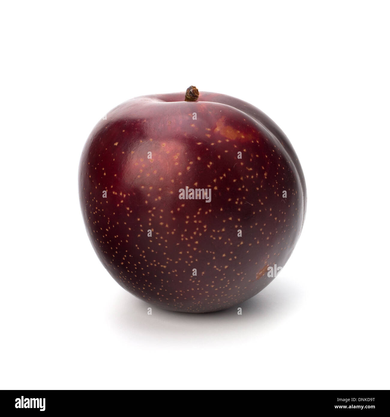 Red plum fruit isolated on white background Stock Photo - Alamy