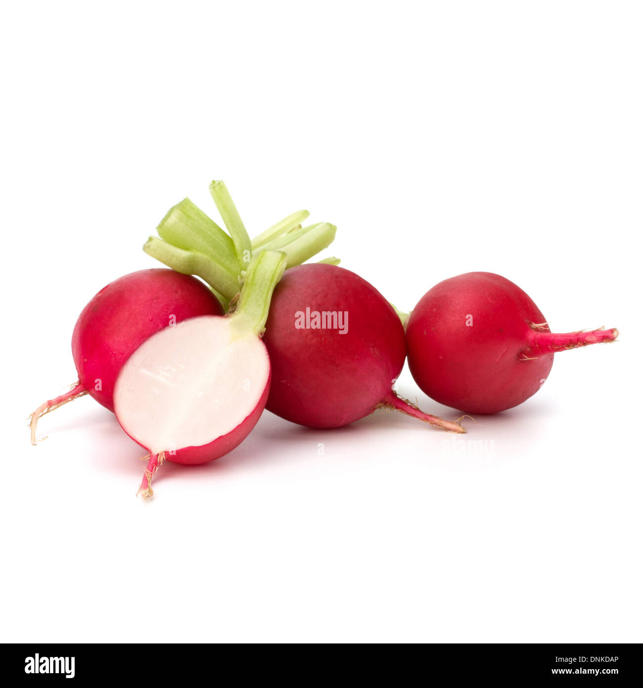 Small garden radish isolated on white background Stock Photo - Alamy