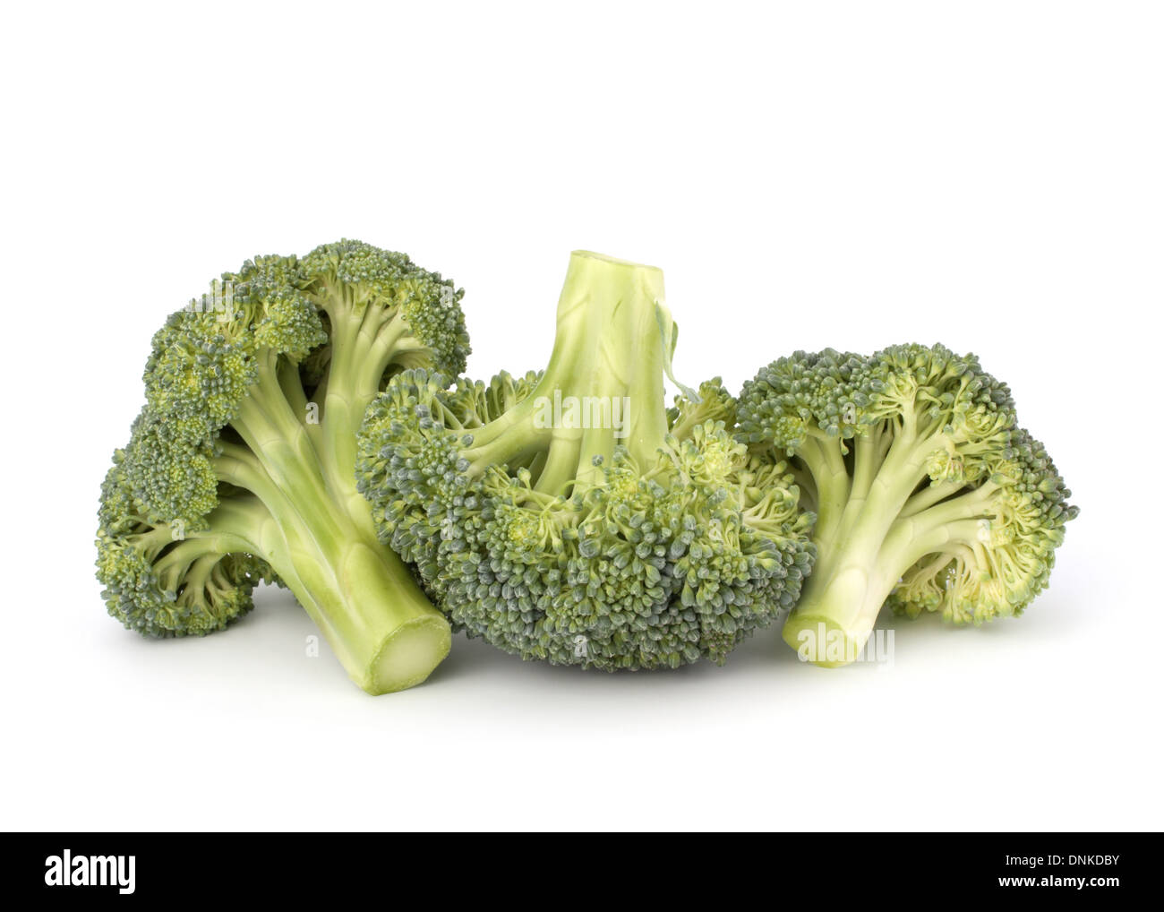 Broccoli vegetable isolated on white background Stock Photo - Alamy