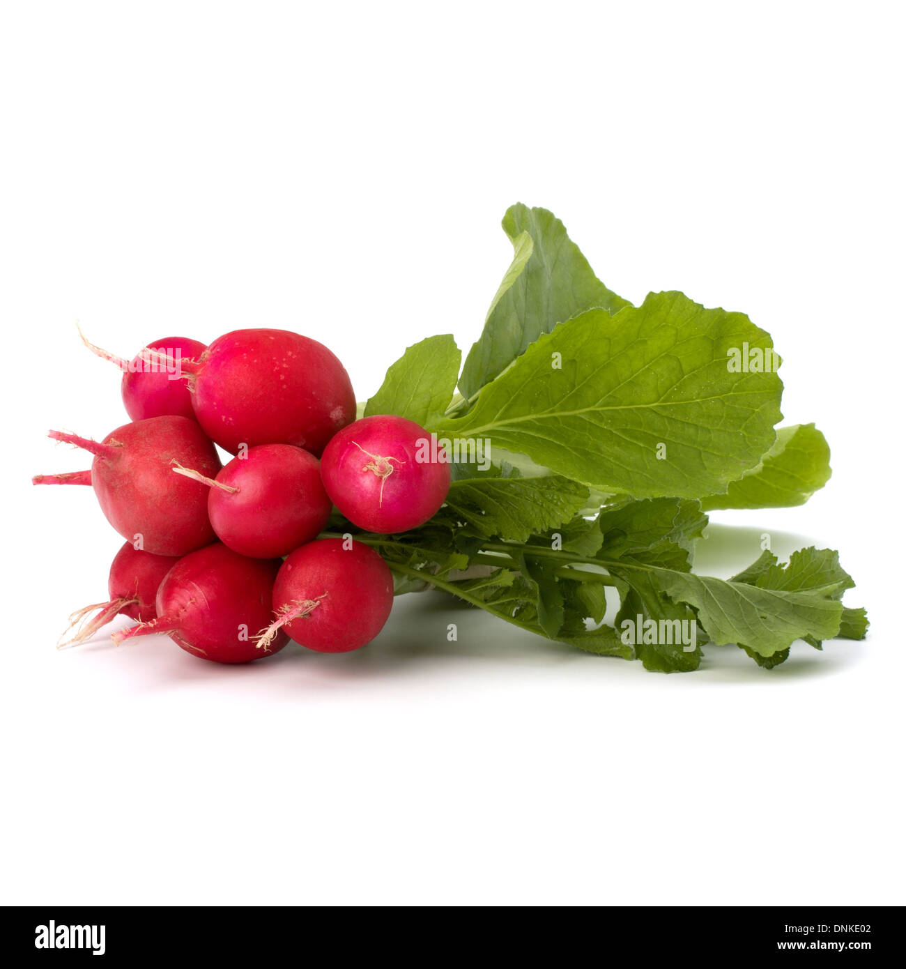 Small garden radish isolated on white background Stock Photo - Alamy