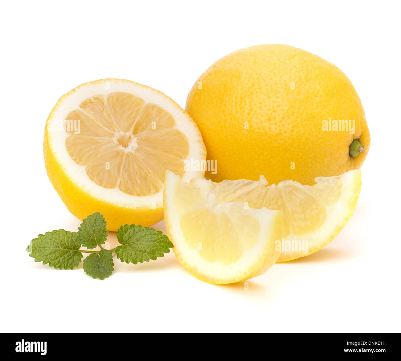 Lemon and citron mint leaf isolated on white background Stock Photo - Alamy