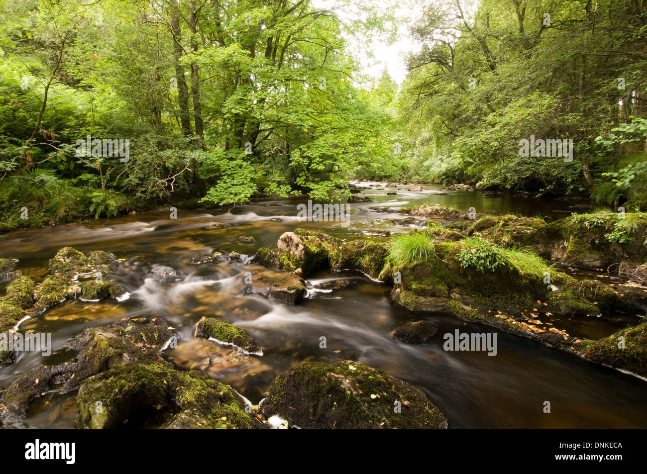 Irfon hi-res stock photography and images - Alamy