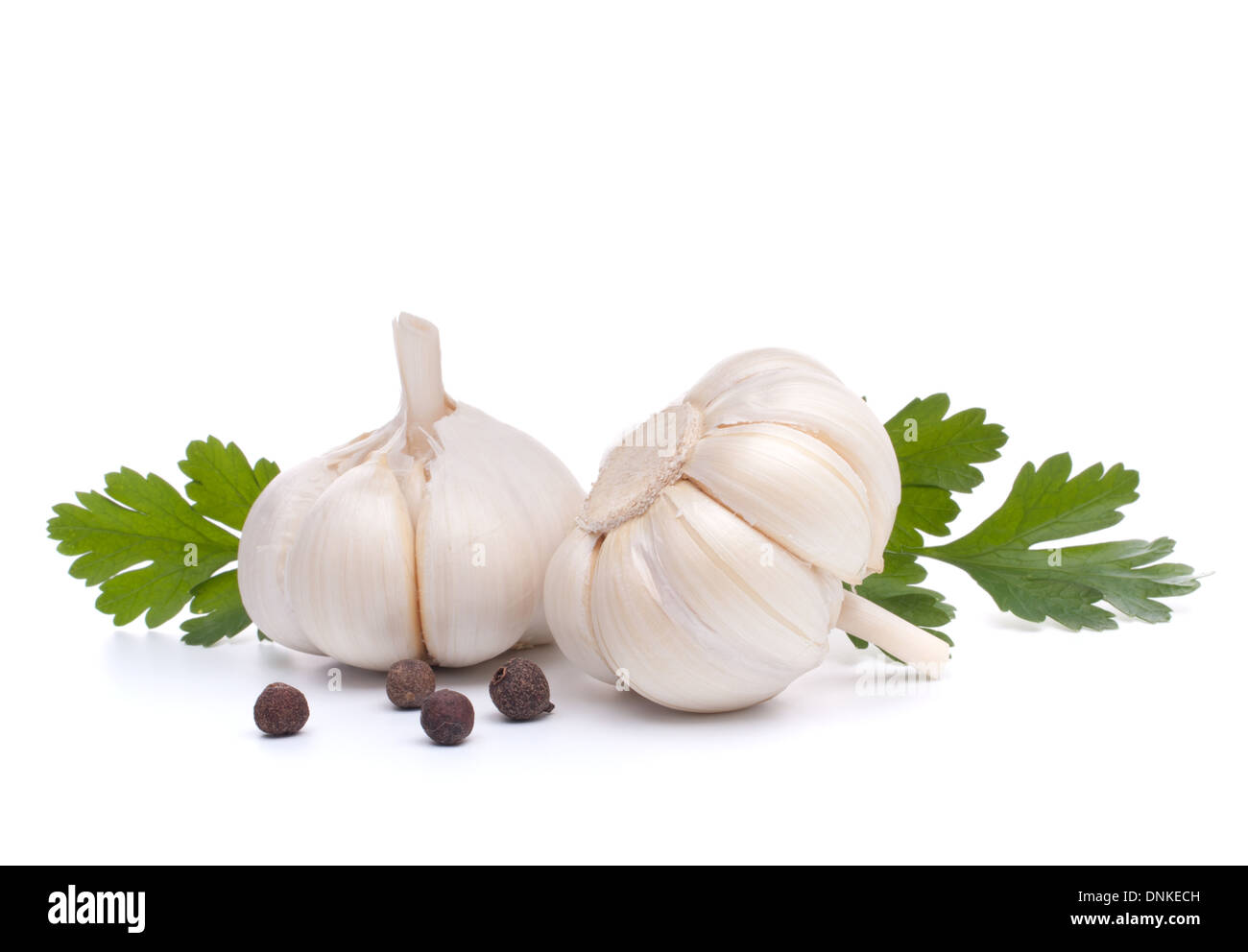 garlic bulb isolated on white background cutout Stock Photo - Alamy