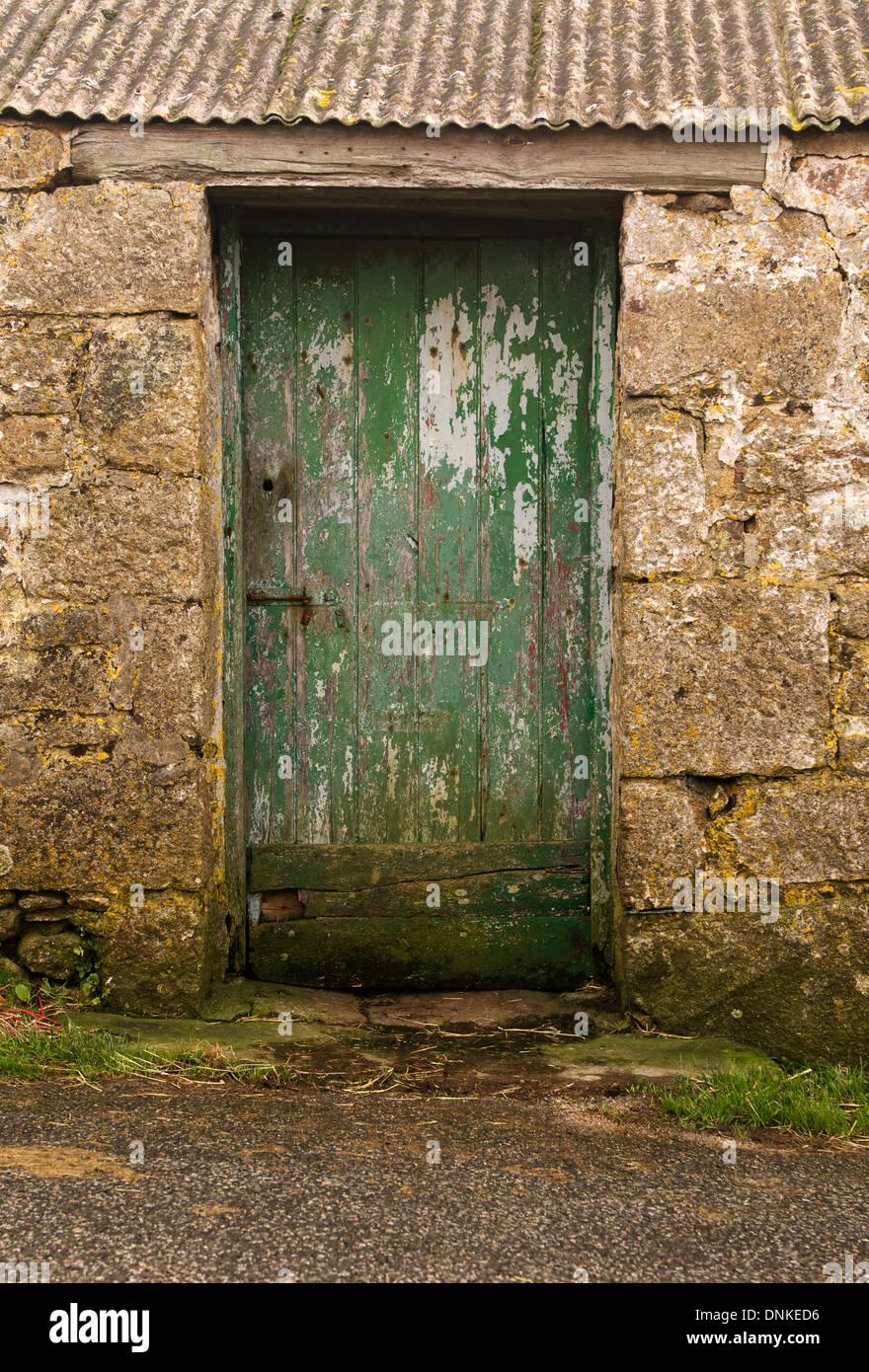 Old green door in a farm building in Cornwall Stock Photo - Alamy