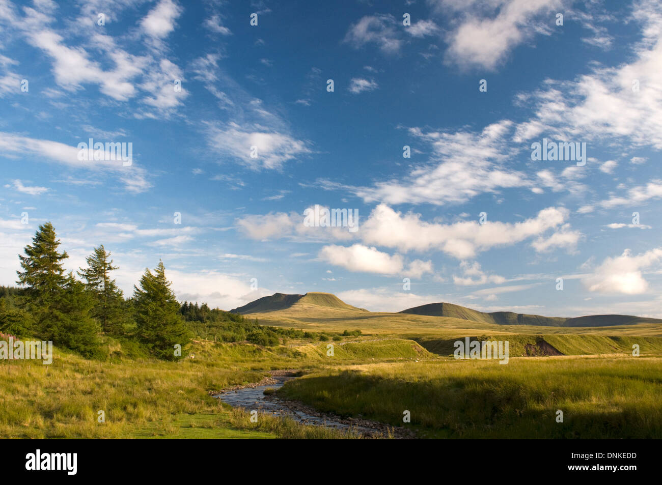 Wysg hi-res stock photography and images - Alamy