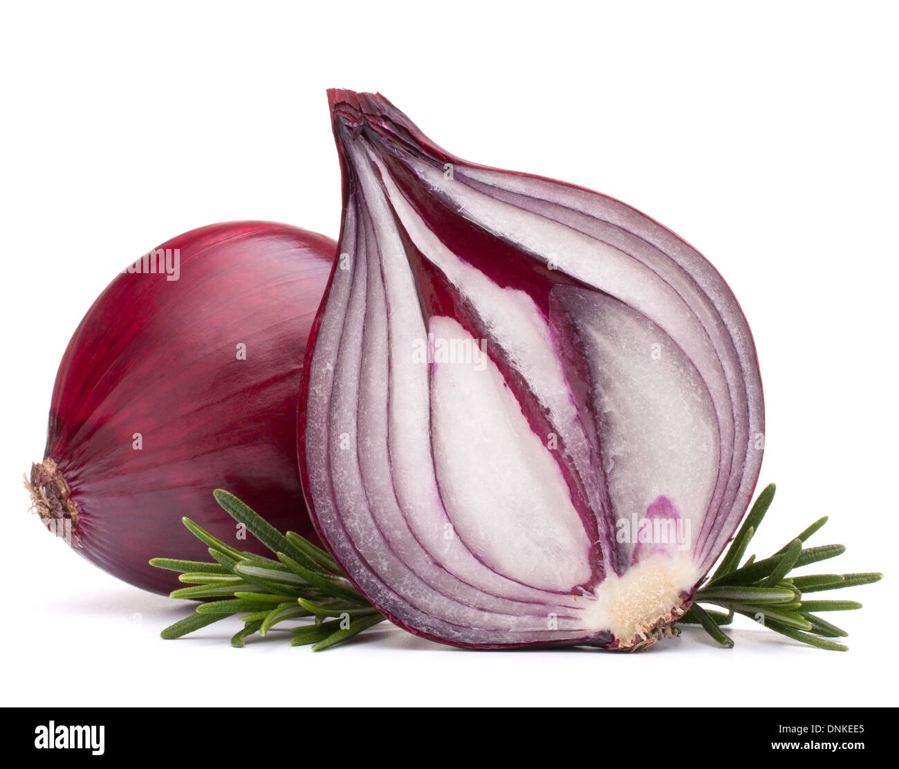 red onion and rosemary leaves still life isolated on white background ...