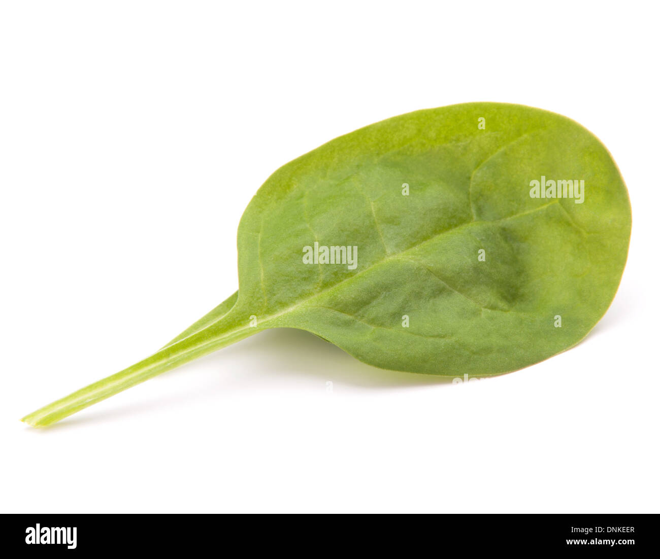 Spinach vegetables isolated on white background cutout Stock Photo - Alamy