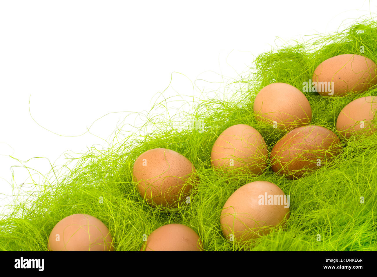 eggs border isolated on white background Stock Photo - Alamy