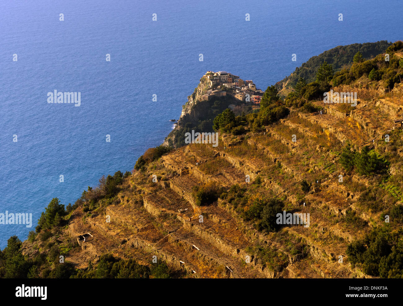 High altitude vineyards hi-res stock photography and images - Alamy