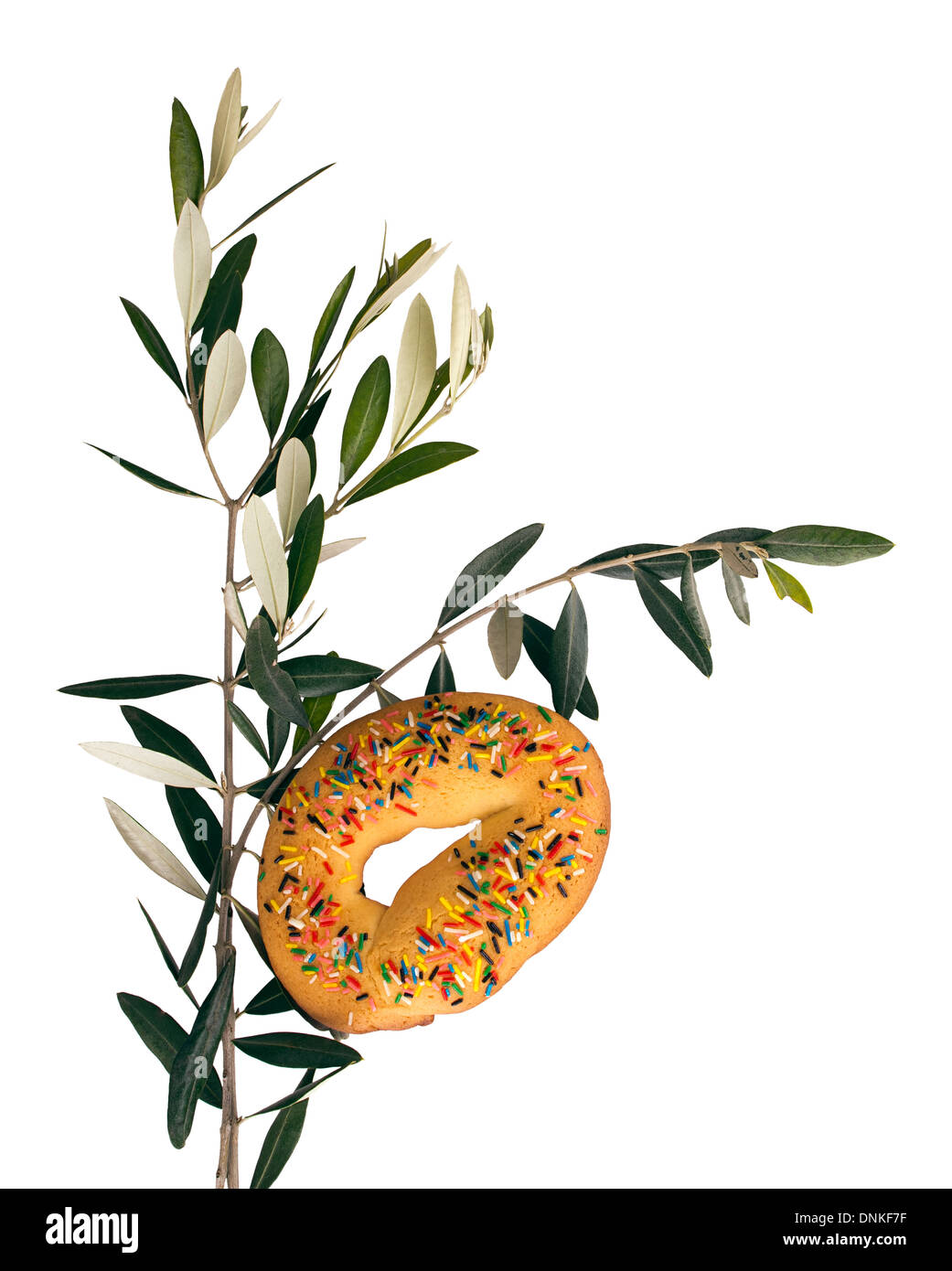 Palm sunday italy Cut Out Stock Images & Pictures - Alamy