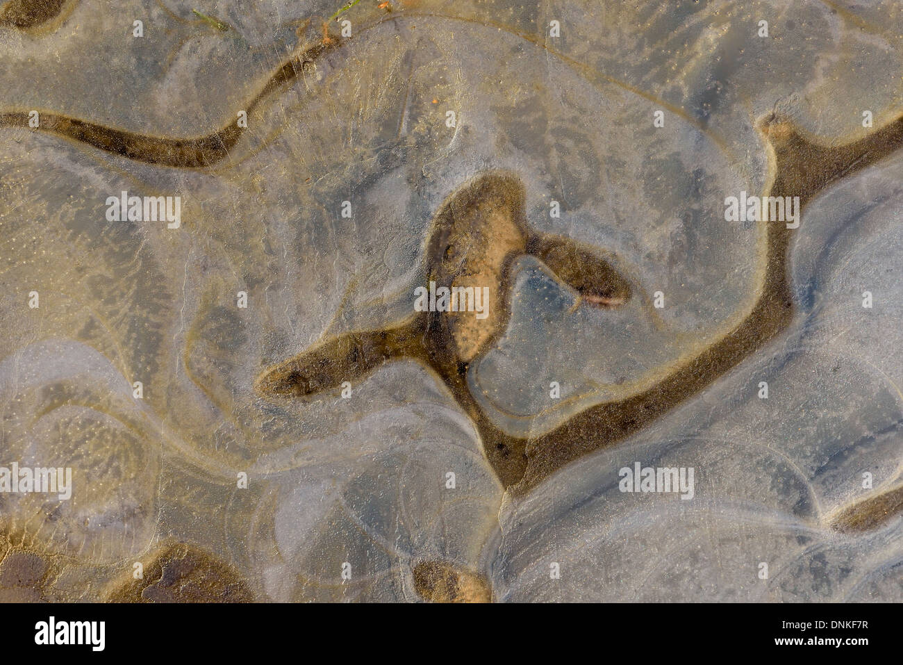 Details of an icy puddle Stock Photo - Alamy