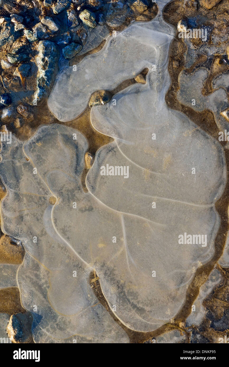 Details of an icy puddle Stock Photo - Alamy
