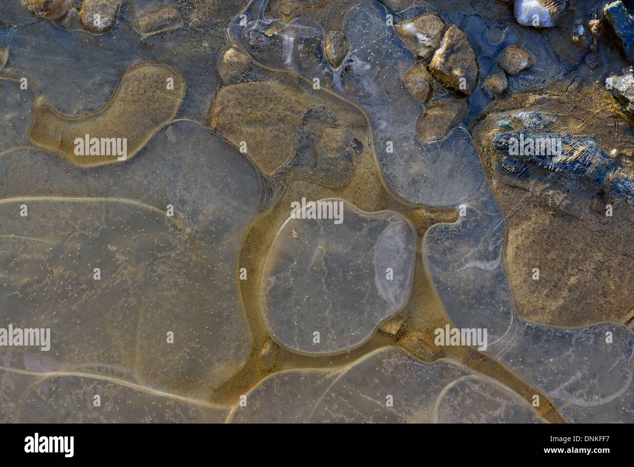 Details of an icy puddle Stock Photo - Alamy