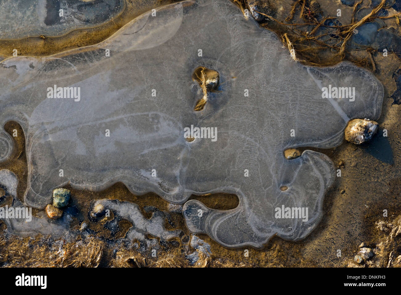 Details of an icy puddle Stock Photo - Alamy