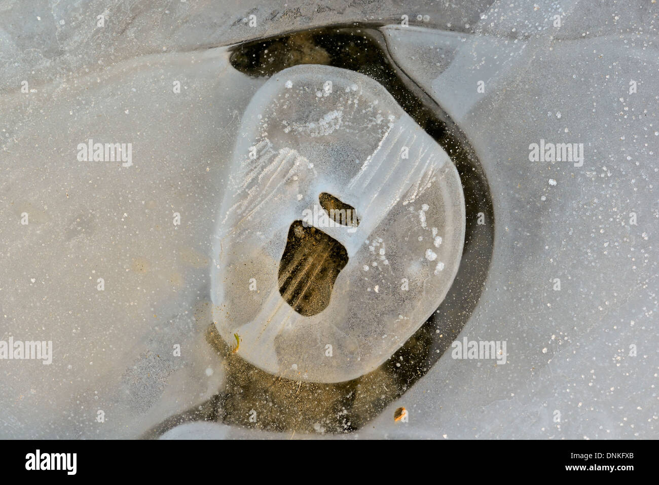 Details of an icy puddle Stock Photo - Alamy