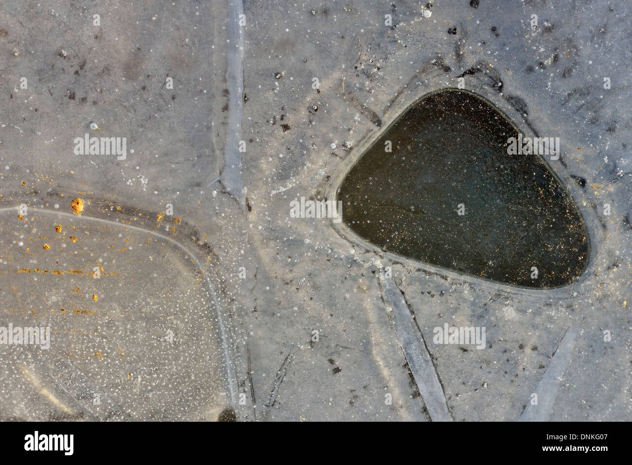 Details of an icy puddle Stock Photo - Alamy