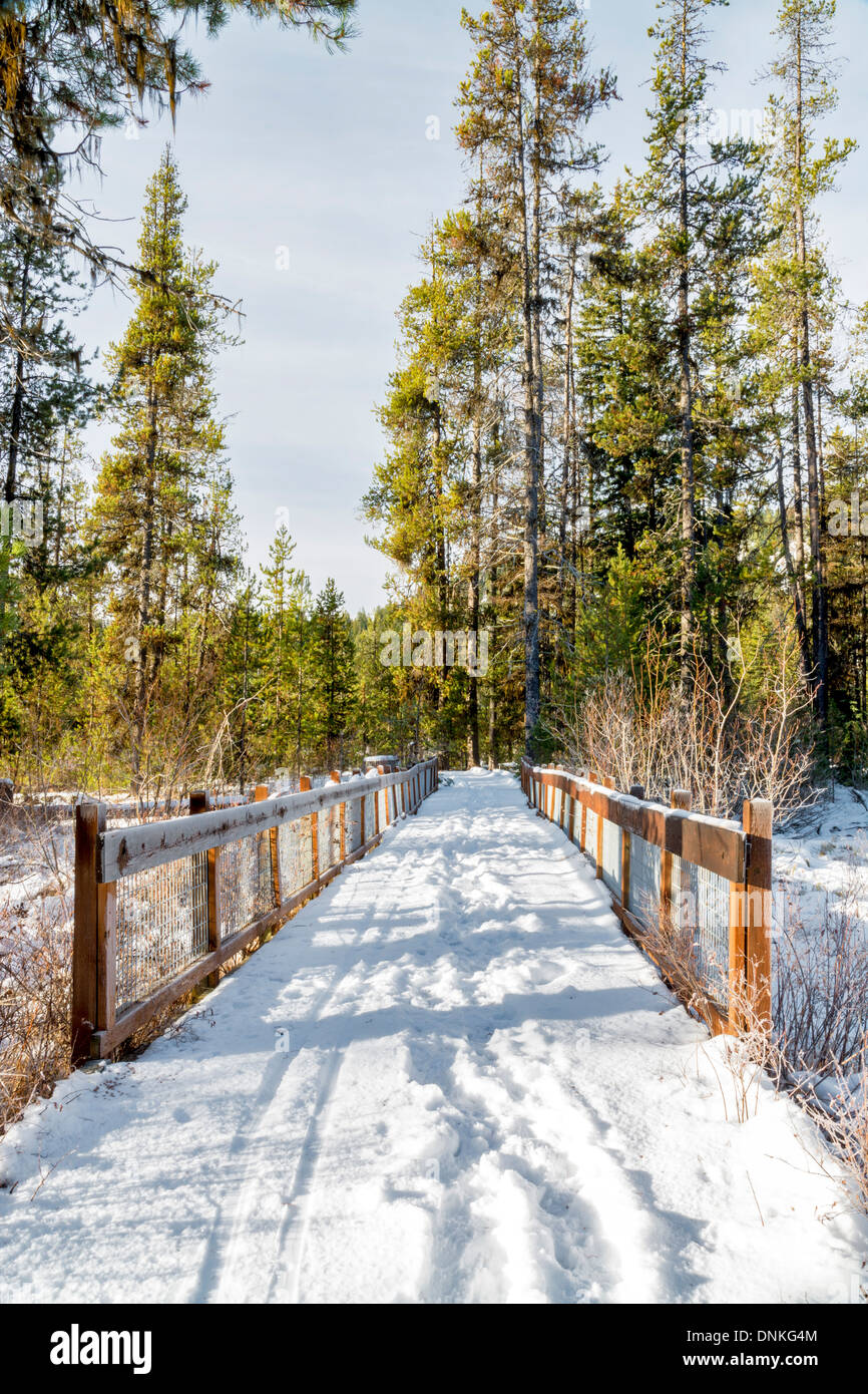 Tracks in snow can hi-res stock photography and images - Alamy