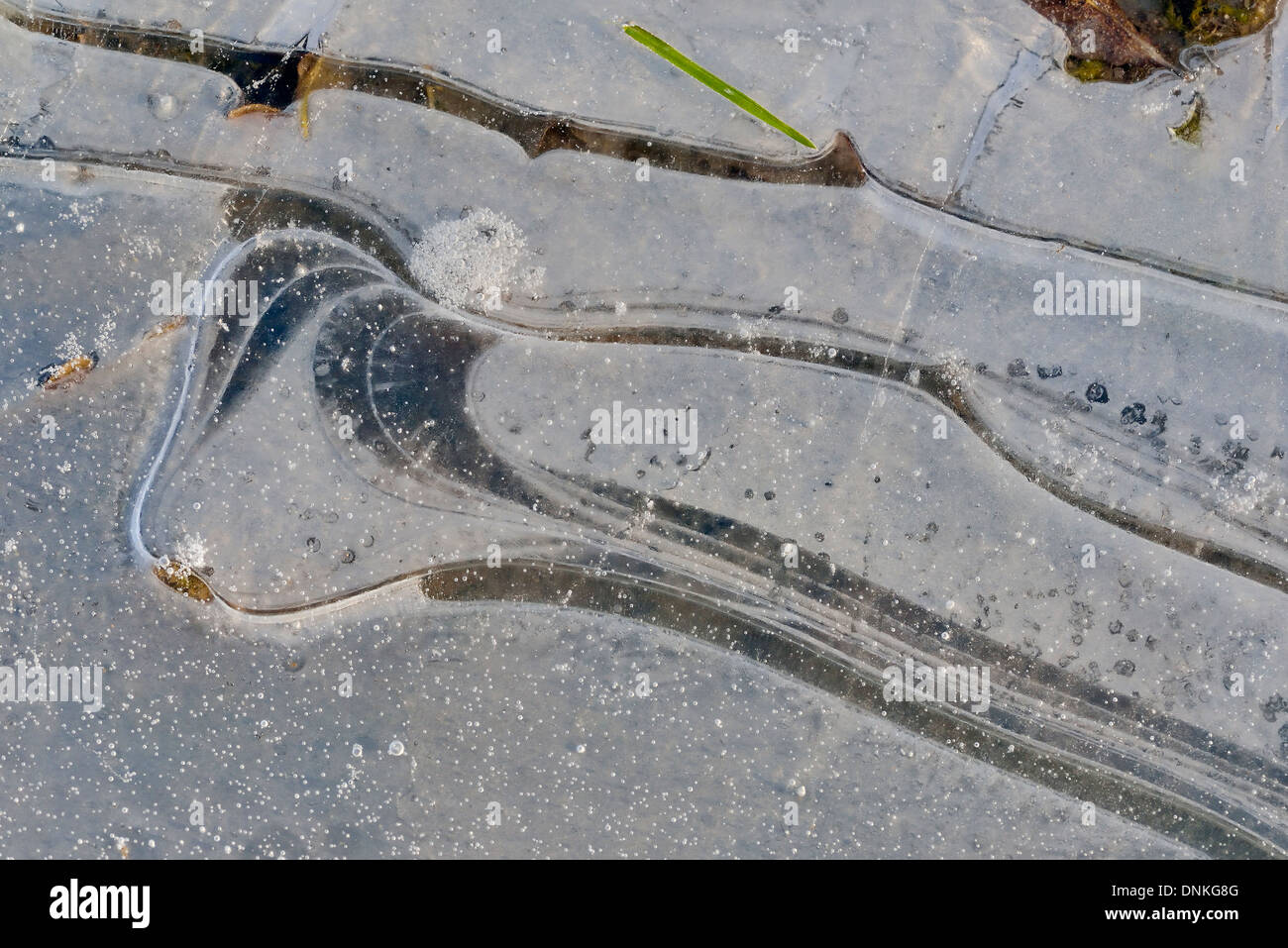 Details of an icy puddle Stock Photo - Alamy