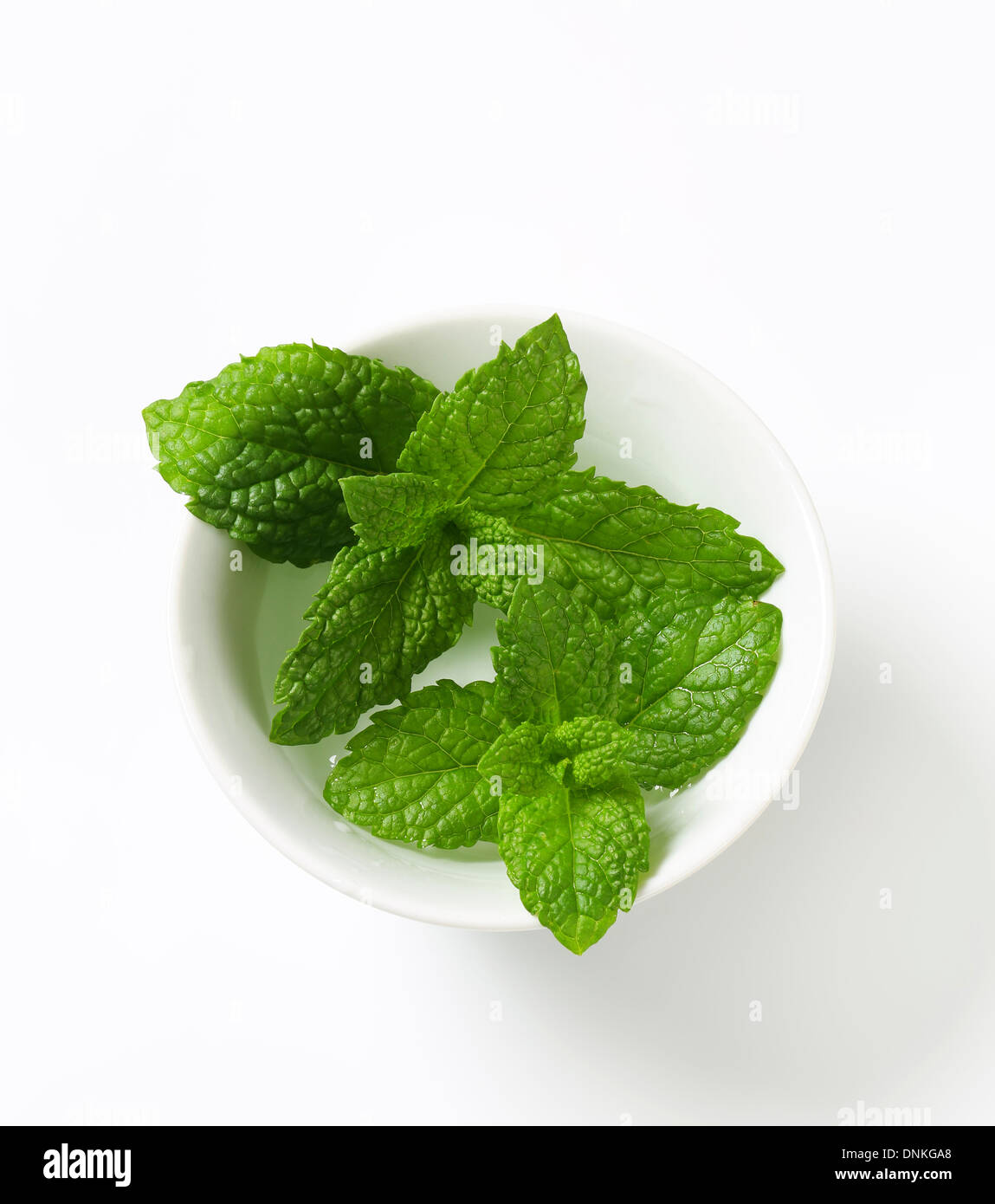 Fresh green sprig mint hi-res stock photography and images - Alamy