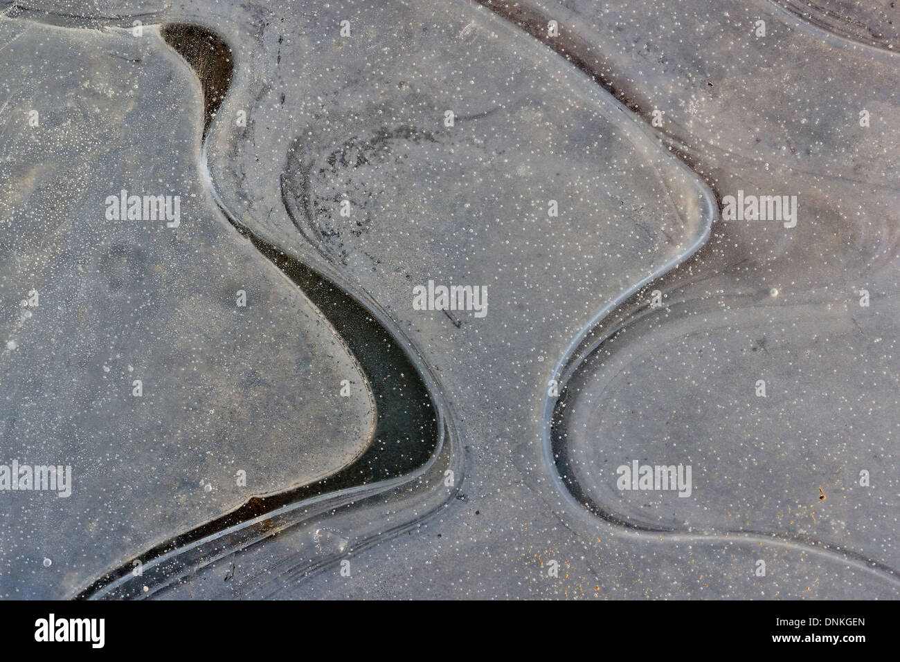 Details of an icy puddle Stock Photo - Alamy