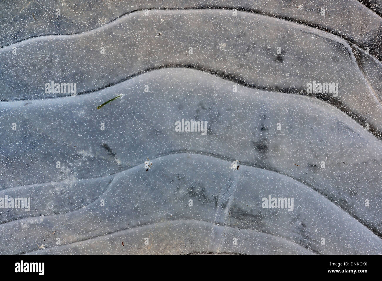 Details of an icy puddle Stock Photo - Alamy