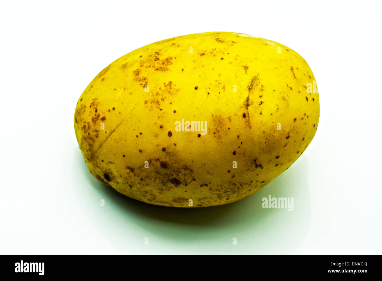 maris piper potato food unpeeled raw cut out white background copy ...