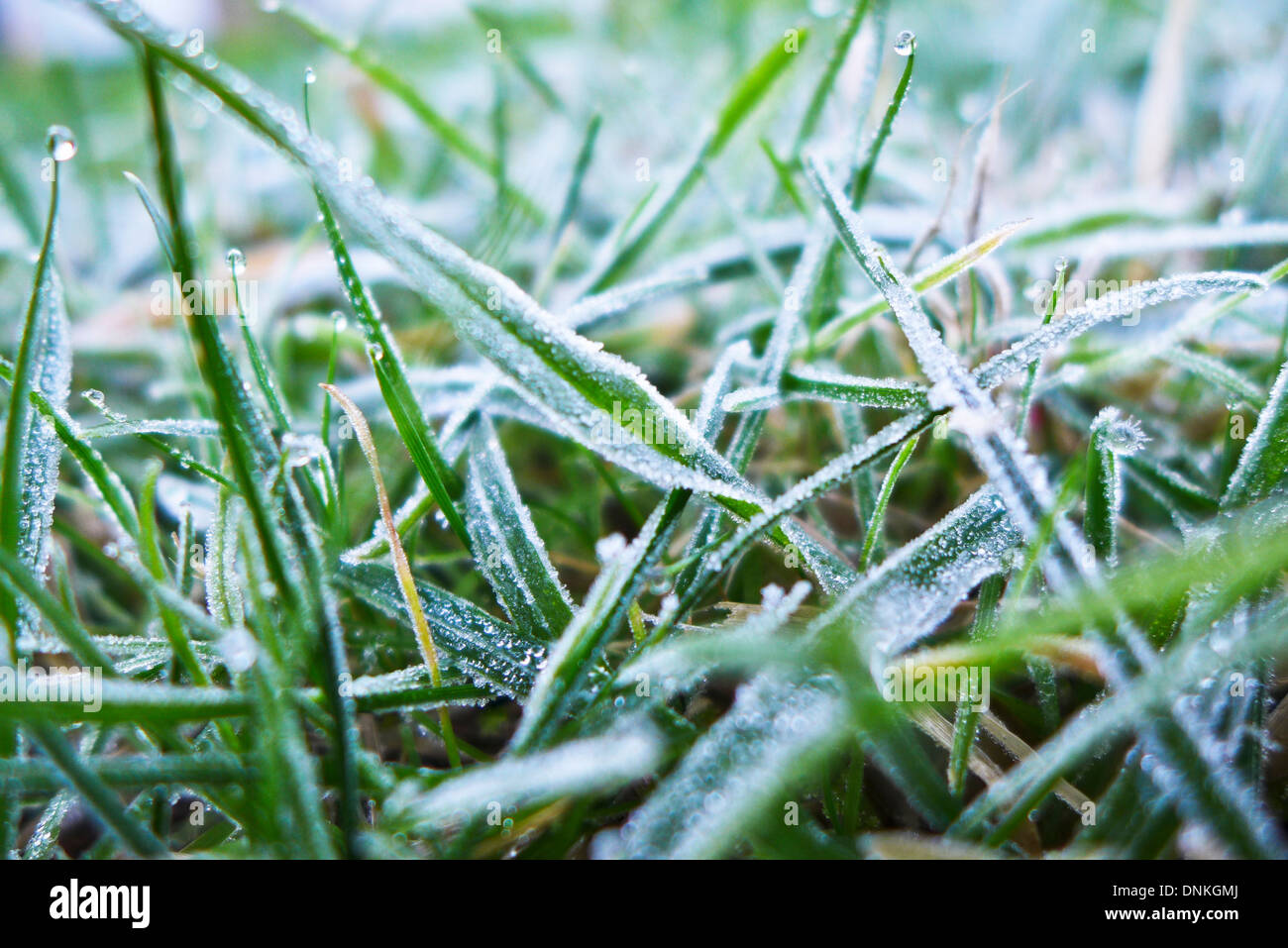 Temprature hi-res stock photography and images - Alamy