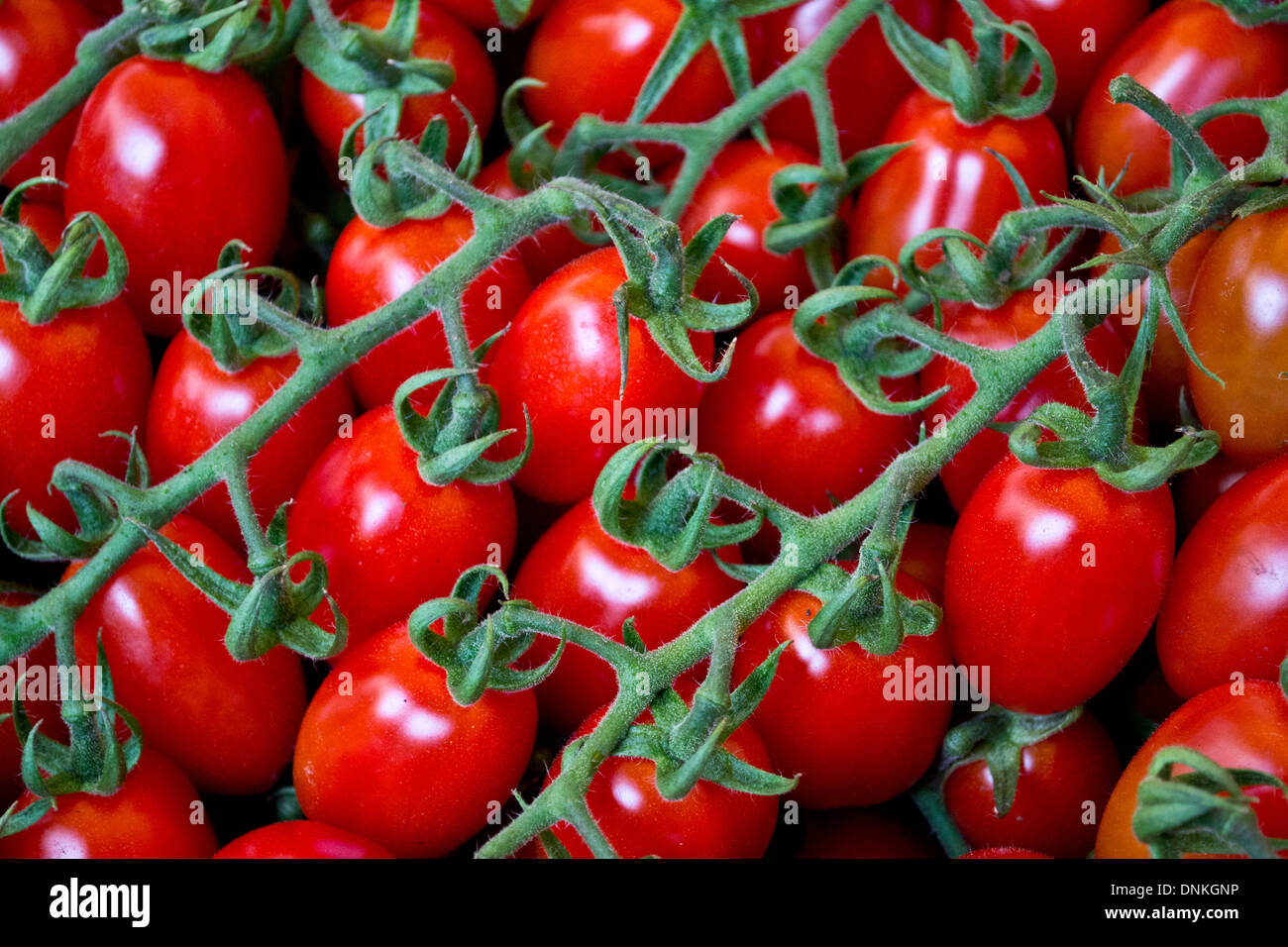 Venice march hi-res stock photography and images - Alamy