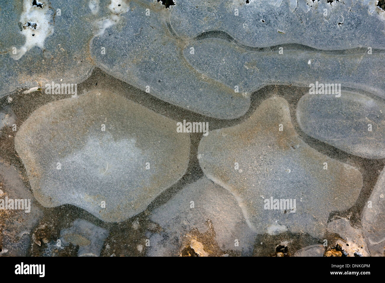 Details of an icy puddle Stock Photo - Alamy