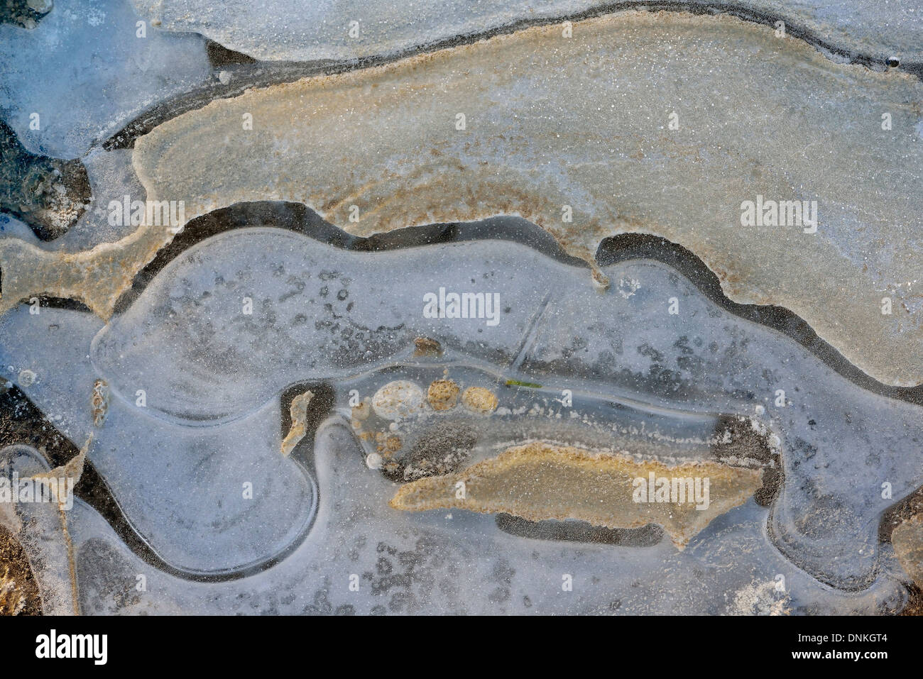 Details of an icy puddle Stock Photo - Alamy