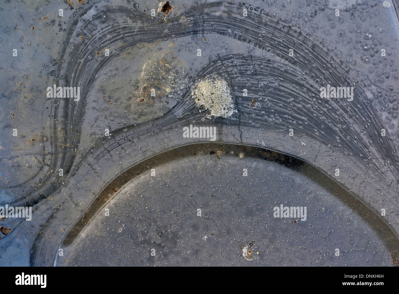 Details of an icy puddle Stock Photo - Alamy