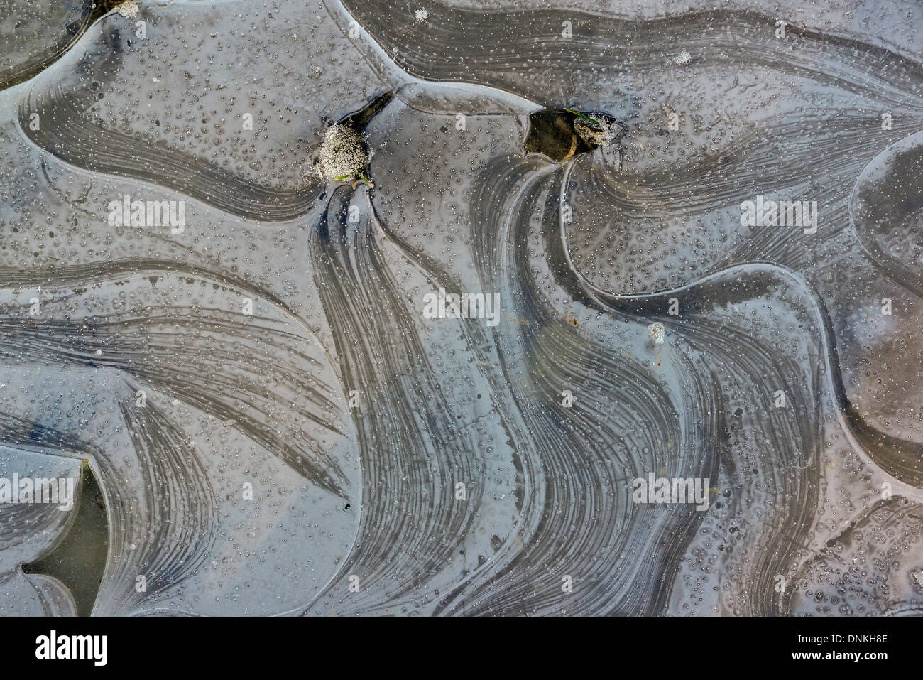 Details of an icy puddle Stock Photo - Alamy