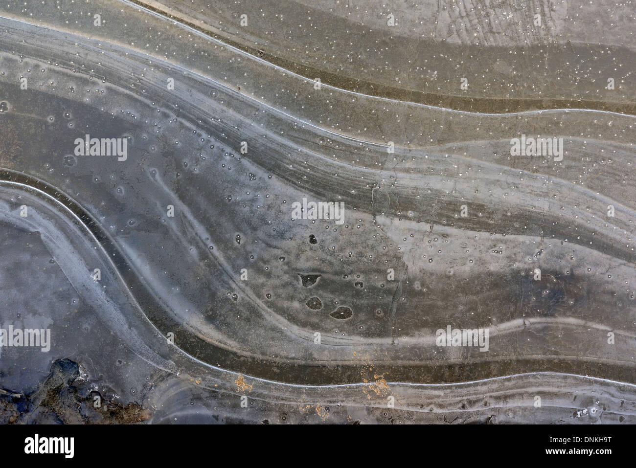 Details of an icy puddle Stock Photo - Alamy