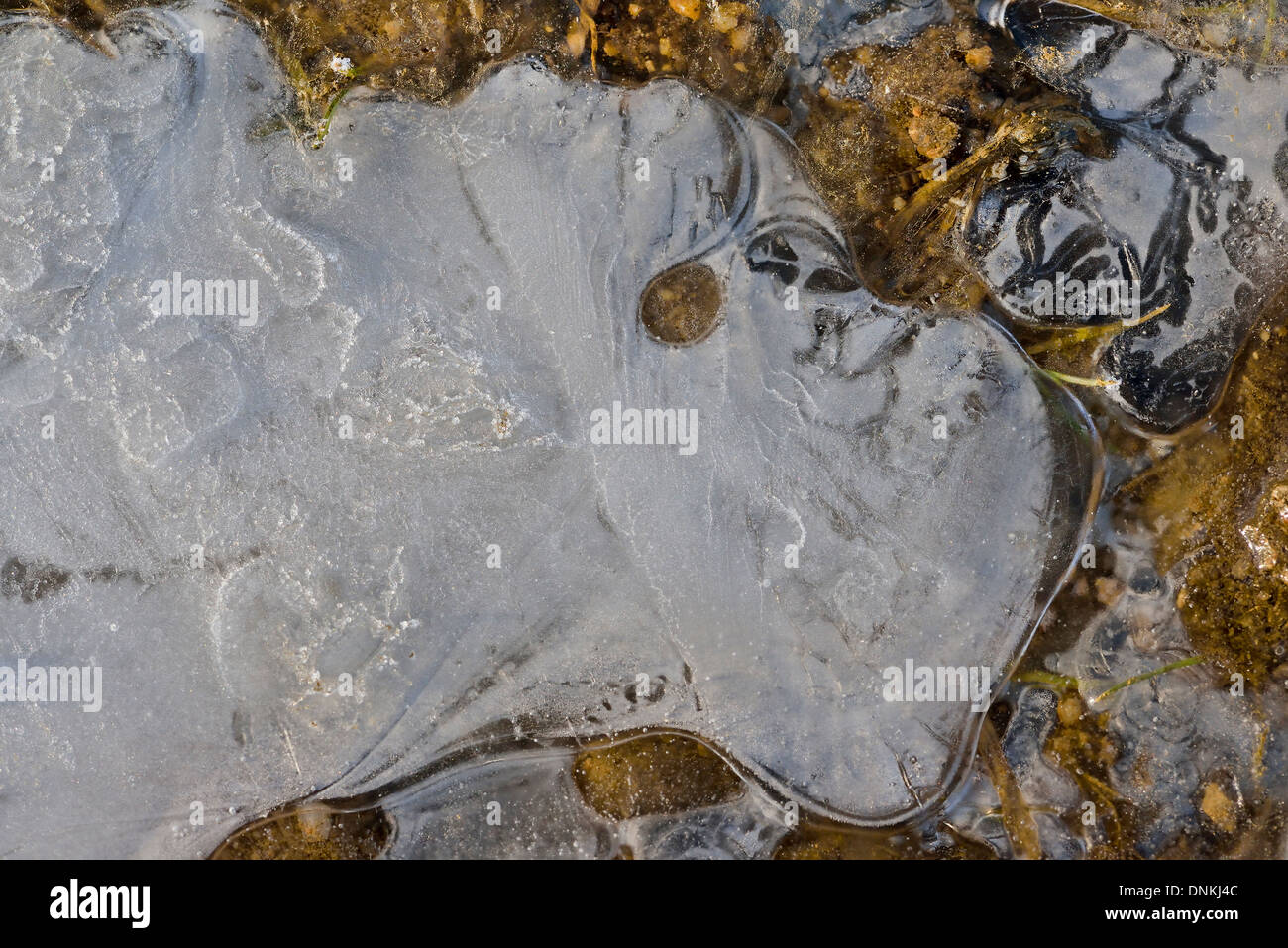 Icy puddle hi-res stock photography and images - Alamy