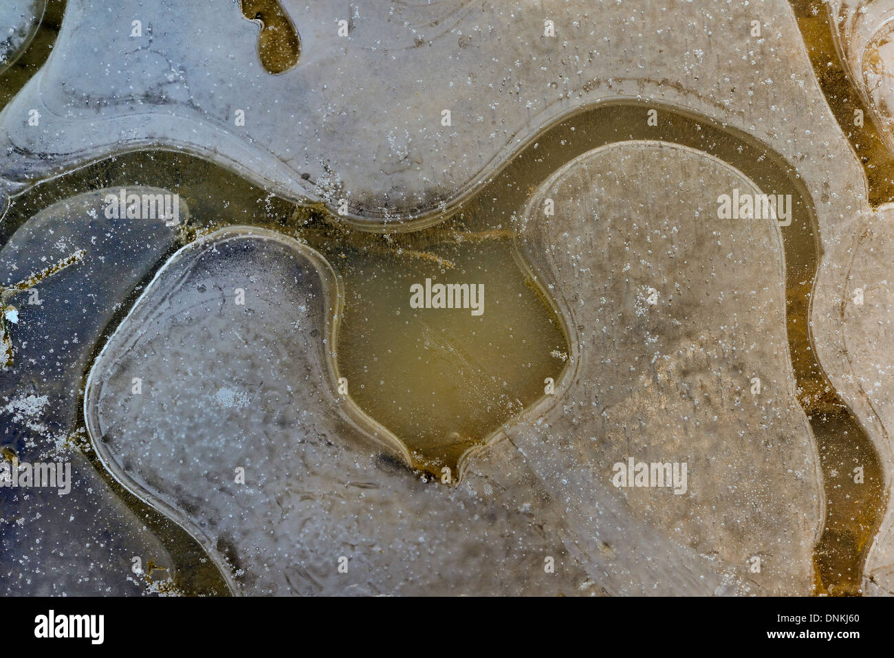 details of an icy puddle Stock Photo - Alamy
