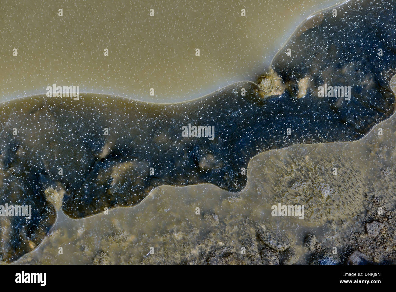 details of an icy puddle Stock Photo - Alamy