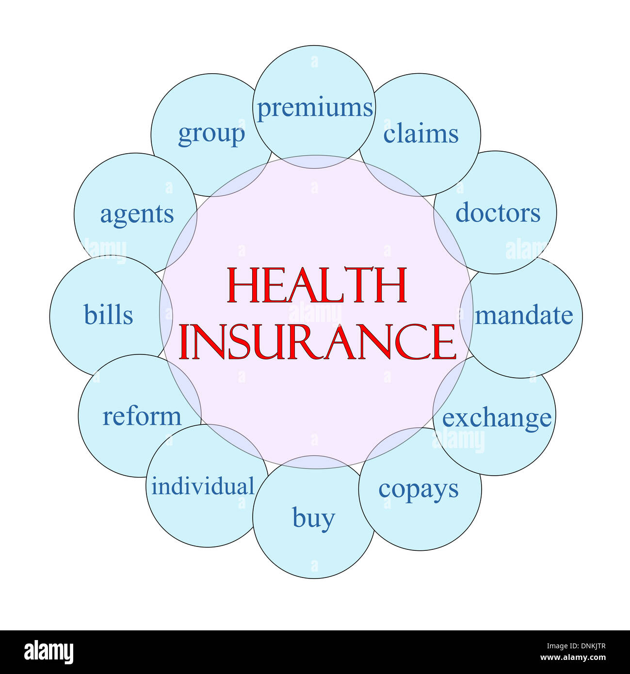 Health Insurance concept circular diagram in pink and blue with great ...
