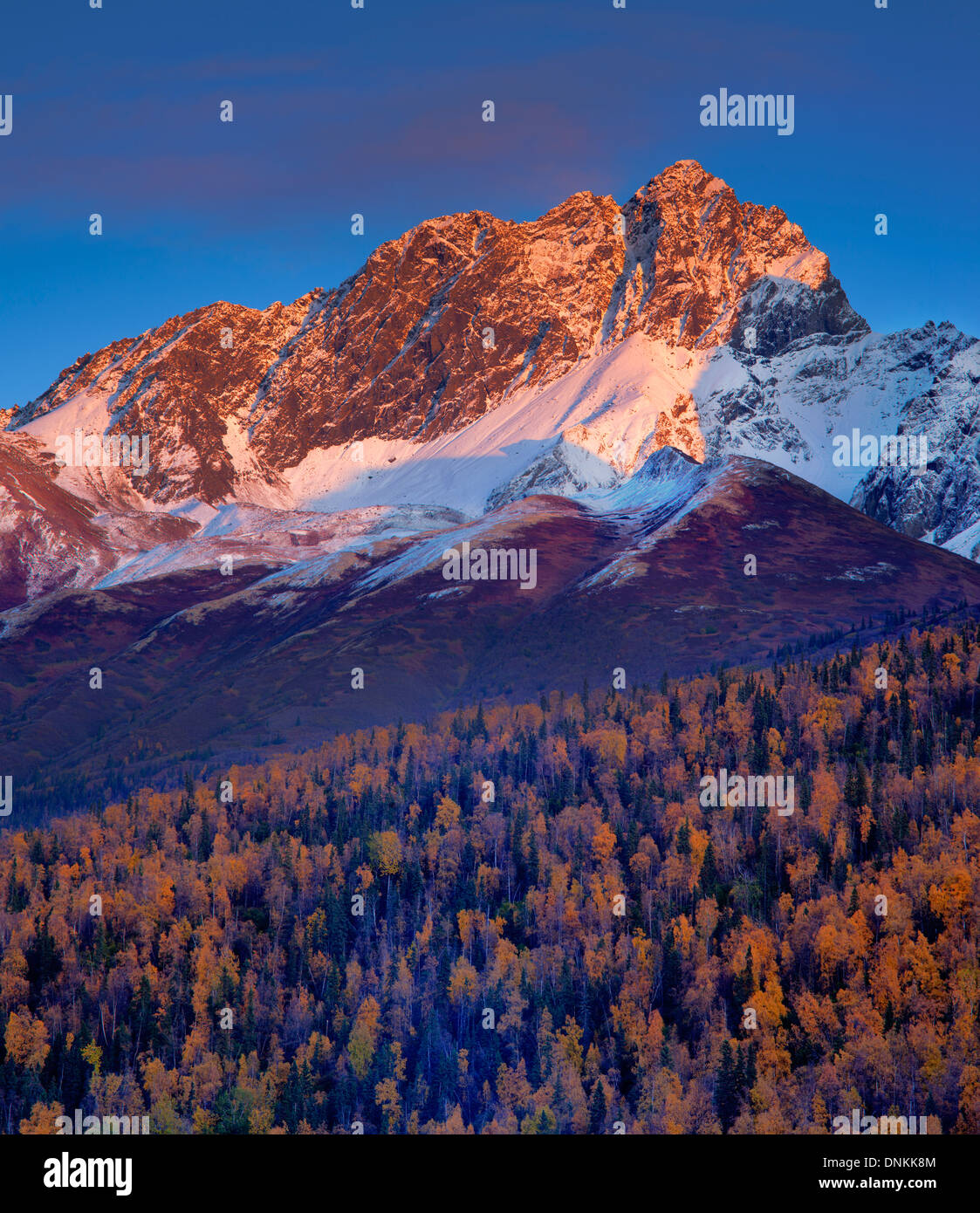 Chugach range hi-res stock photography and images - Alamy