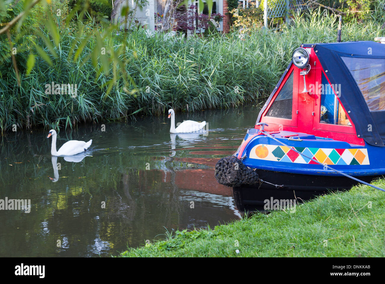 Colourful, brightly coloured narrowboat moored on River Wey in Surrey ...