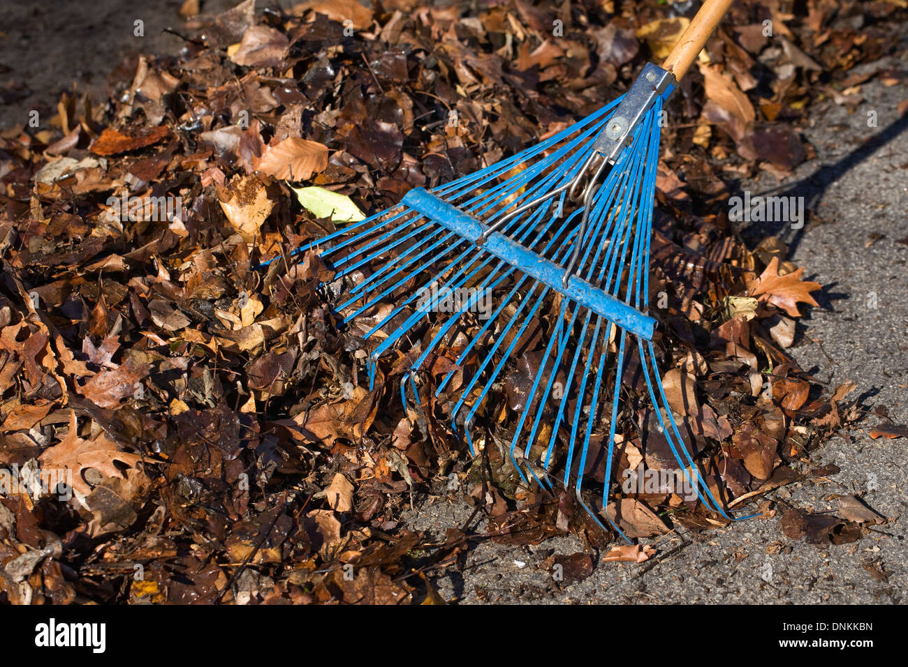 Litter decomposition hi-res stock photography and images - Alamy