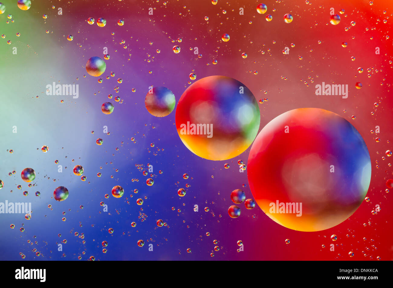 macro worlds of patterns interference and repulsive phobic phobia ...