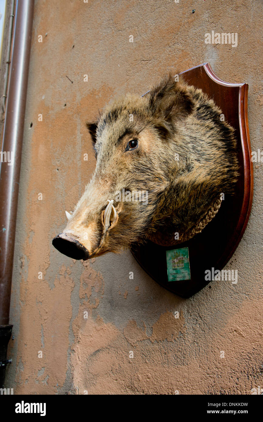 Pig Head Wall Stock Photos & Pig Head Wall Stock Images - Alamy