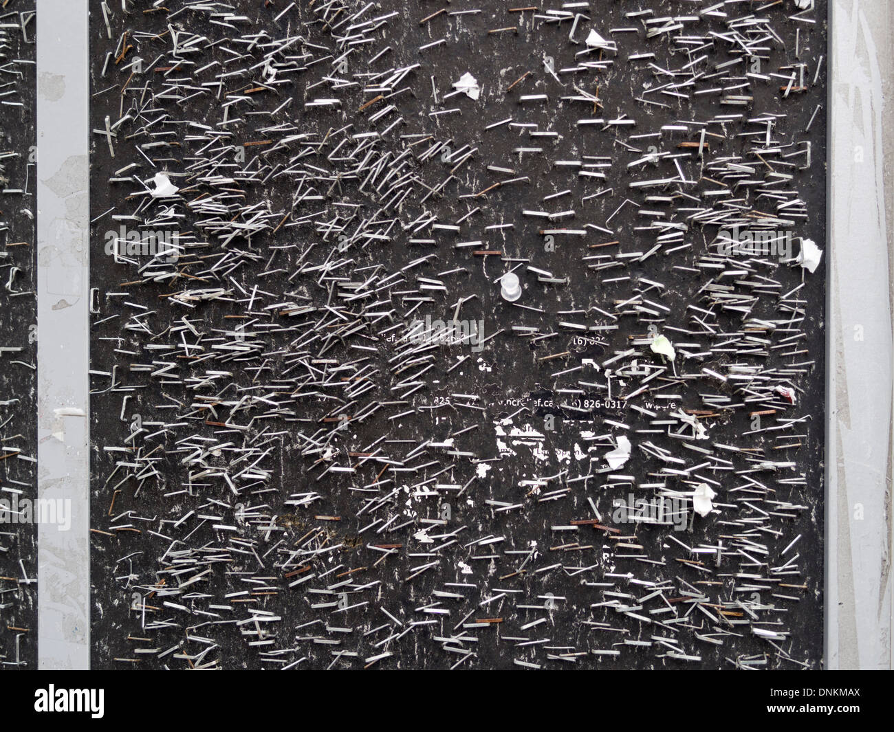 Poster Board Staples